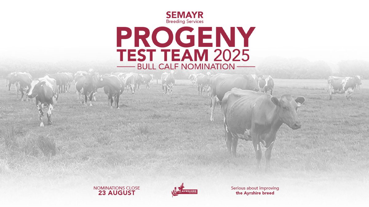 Semayr Breeding Services Progeny Test Team 2025 - Bull Calf Nomination ...