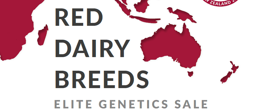 2026 Red Dairy Breeds Elite Genetics Sale | Ayrshire New Zealand